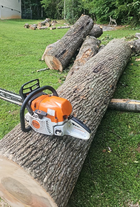 About Us - Timber Tree Services and landscaping